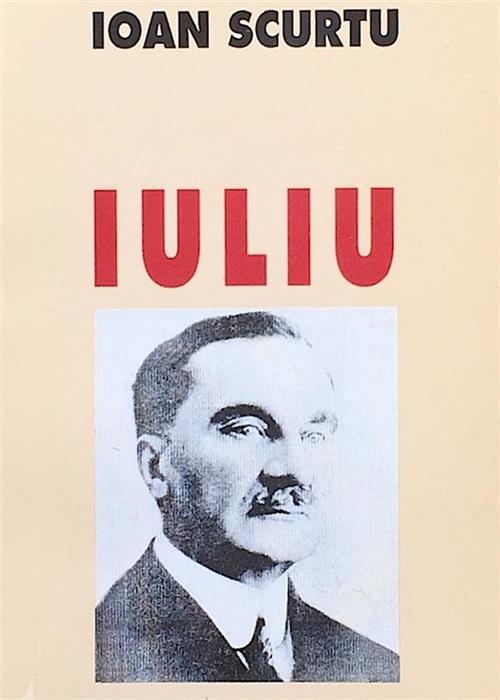 Iuliu Maniu. Activitatea politica - Ioan Scurtu